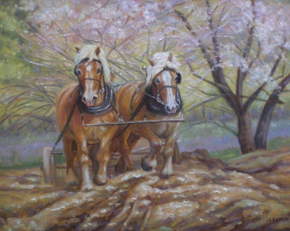 Mary Iselin Fine Art | Mary Iselin Fine Art